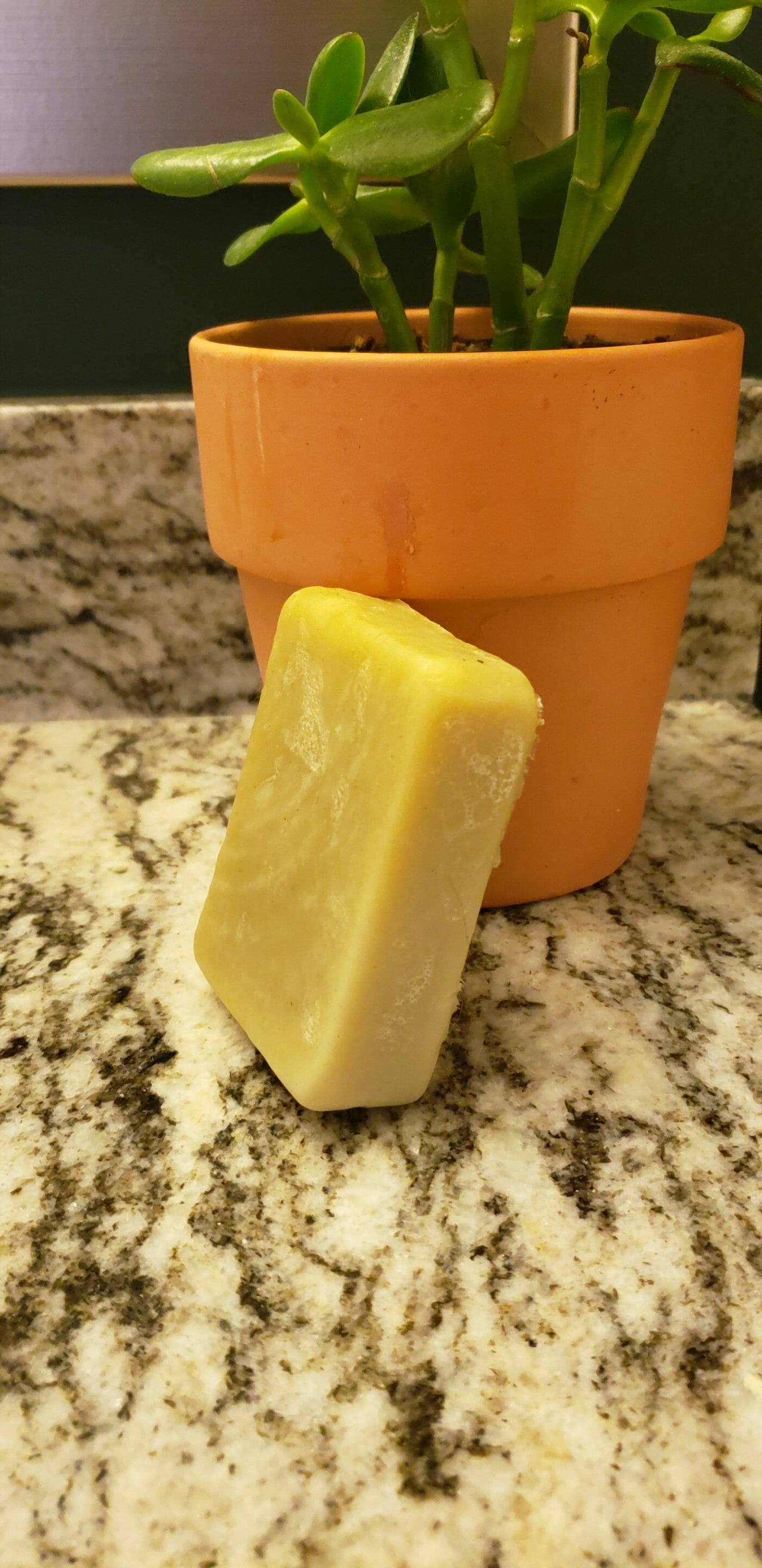 Morrocco Method Citrus Silk Conditioner Bar Review